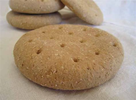 A Woodsrunners Diary Ships Biscuit