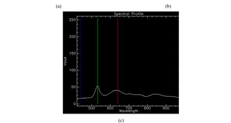 An Example Of A Hyperspectral Image Of A Biological Histology Sample Of