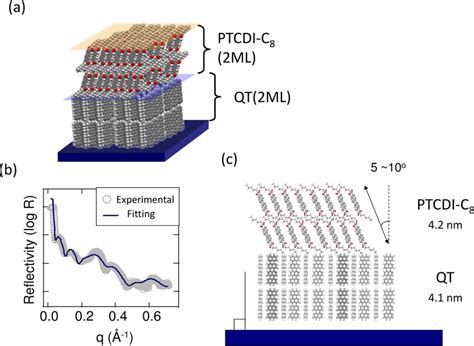 A Schematic Illustration Of Ptcdi Qt Heteromolecular Thin Film Download Scientific Diagram