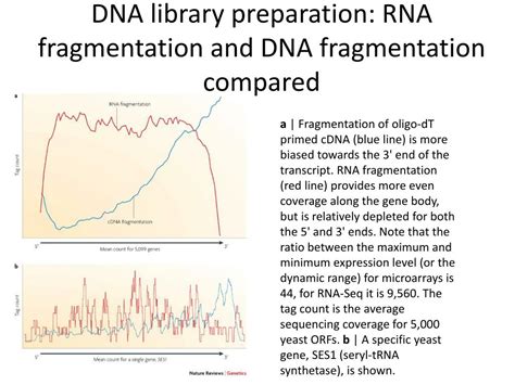 Ppt Rna Seq Library Prep Introduction Powerpoint Presentation Free
