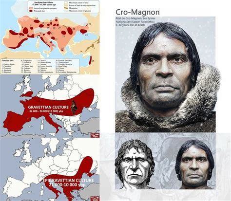 Pin By Victor Gabriel On Antropologia Prehistoric Man Prehistory