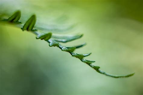 The Essential Guide To Positive Space In Photography