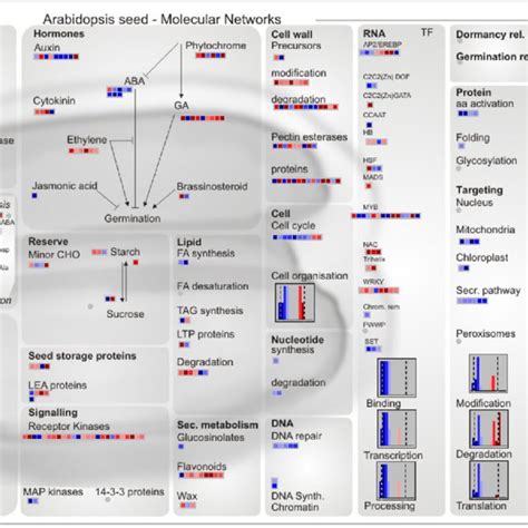 Global View Of Degs Involved In Diverse Metabolic Pathways