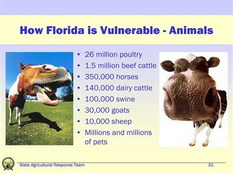 Agroterrorism And Bioterrorism Causes Prevention Pdf Infectious Diseases Diseases And