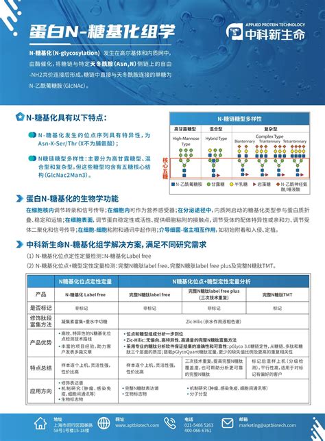 APSB长篇综述四 N 糖基化在血管生成和癌症代谢中的作用