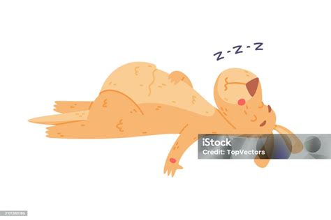 Funny Kangaroo Marsupial Animal Sleeping And Snoring Lying On The