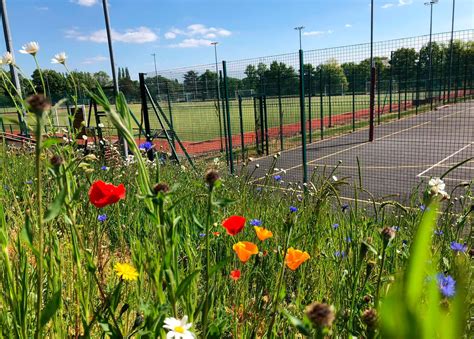 Bromsgrove School Sustainability Plan September 2022 By Bromsgrove
