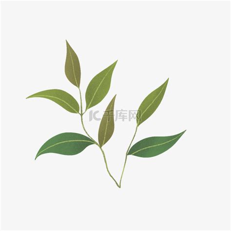 茶叶简笔画矢量茶叶素材图片免费下载 千库网