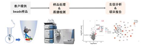 史诗级更新IP MS蛋白互作组学解决方案 知乎