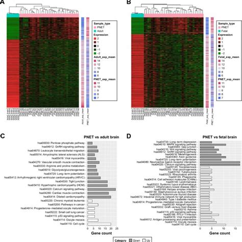 Regulatory Network Construction And Pathway Enrichment Analysis Of