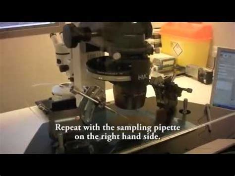 Micromanipulator Set Up YouTube