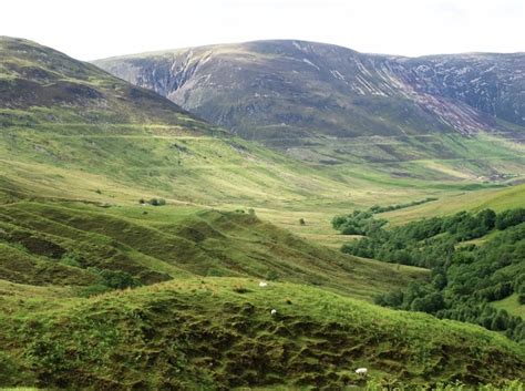 Mary Lyell Geologist Minerva Scientifica