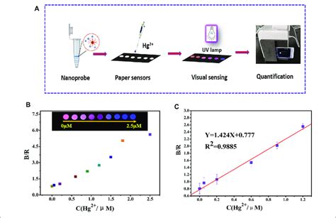 A The Schematic Diagram Of Visual And Quantitative Detection Of Download Scientific Diagram