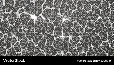 Top View Of The Liquid Surface With Caustic Vector Image