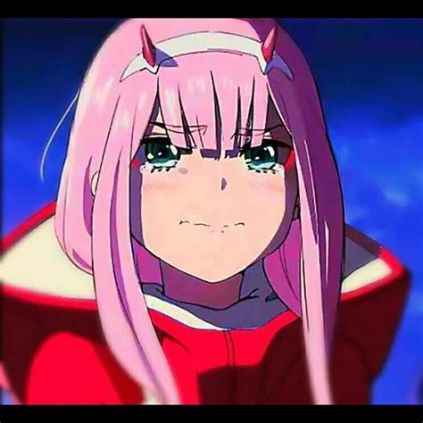 Darling In The Fran — Whatsapp Stickers Pack