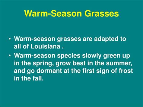 Ppt Warm Season Grasses Powerpoint Presentation Free Download Id