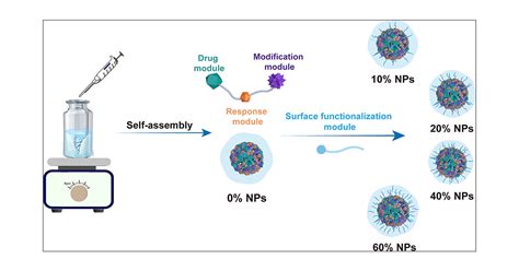 Probing The Impact Of Surface Functionalization Module On The Performance Of Mitoxantrone