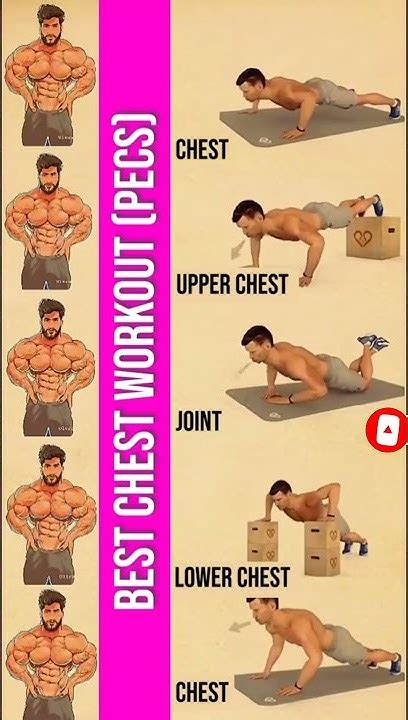 Push-up for upper and lower chest | Chest workout at home - YouTube