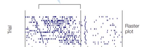 Ch3 5 Methods Of Cognitive Neuroscience Methods To Measure Neural Activity Karteikarten Quizlet