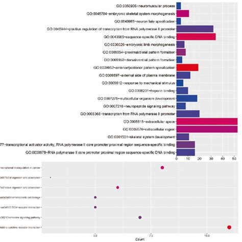 Functional Enrichment Analysis A Go Biological Process Enrichment