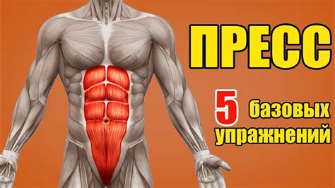 ПРЕСС 5 БАЗОВЫХ УПРАЖНЕНИЙ ОШИБКИ УБИВАЮЩИЕ ПРОГРЕСС Youtube