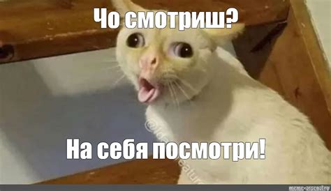 Мем Чо смотриш На себя посмотри Все шаблоны Meme
