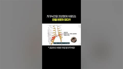 자가늑연골 코성형 시 사용되는 연골 번호가 있어요 Youtube