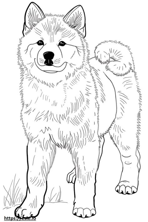 Alaskan Klee Kai Cartoon Coloring Page