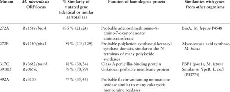 M Tuberculosis Genes Homologous To Loci Disrupted In Five Of The M