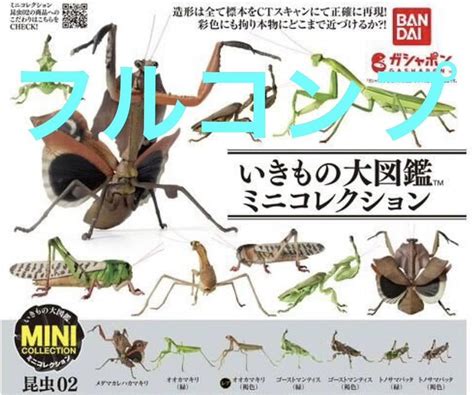 Jp 含むフルコンプ いきもの大図鑑 ミニコレクション 昆虫02 トノサマバッタ オオカマキリ メダマカレハカマキリ