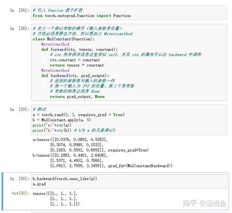 Pytorch学习笔记之自动求导（autograd 知乎