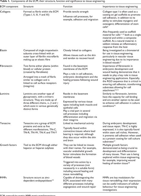 Table 1 From The Extracellular Matrix Structure Composition Age