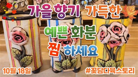10월 18일 가을향기 가득한 예쁜 화분 찜 하세요 화분 꽃담다육스토리 예쁜화분 화분싸게파는곳 다육식물 多肉植物succulents 다육이 꽃담화분