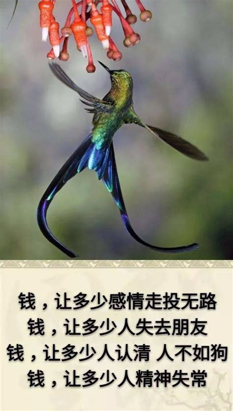 錢啊！錢！花錢容易掙錢難，說的太實在！句句精闢！ 每日頭條