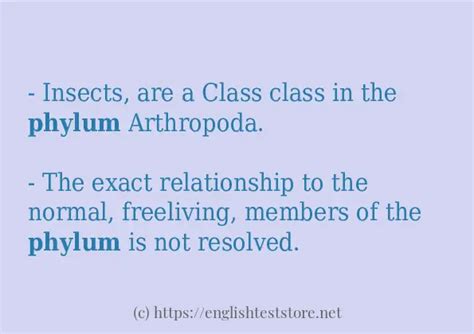 Some Sentences In Use Of Phylum Englishteststore Blog