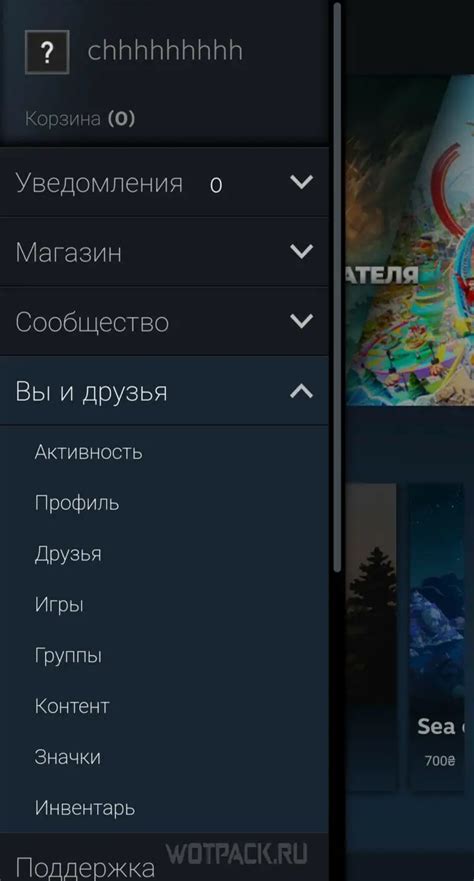 Steam