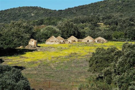 Xviii Ruta Senderista Los Doce Apostoles 2025 Doce Apóstoles En Imágenes