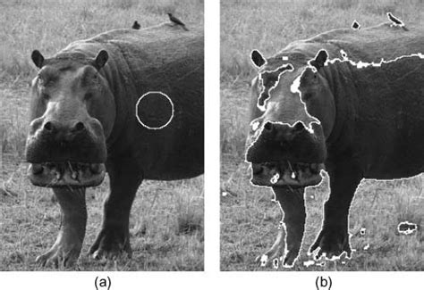 Extraction By A Level Set Based Approach 1 A Initialization And Download Scientific