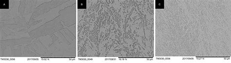 Effect Of Hot Deformation On Microstructure Of Samples Solutionized At Download Scientific