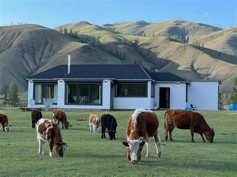 ӨРЛӨГ ӨРЛӨГ Added A New Photo