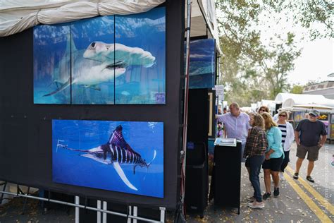 49th Mount Dora Arts Festival Set For Feb 3 And 4 2024 Mount Dora