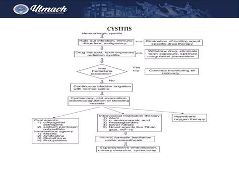 Cystitis Algorithm Ppt