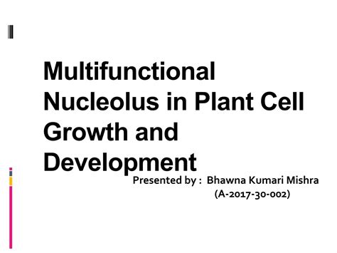 Multifunctional Nucleolus In Plant Cell Growth And Development Ppt