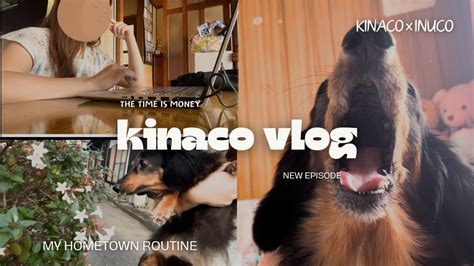 【vlog215】32歳独身女の里帰り人生初の就職活動に苦戦自己prって何書くん人生の岐路に立っています Youtube