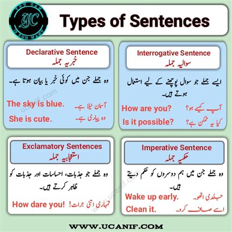 All Types Of Sentences In Urdu With Rules Examples And Uses You Can