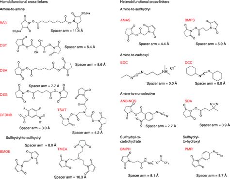 Different Types Of Cross Linkers With Their Reactive Groups And Download Scientific Diagram