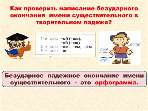 Правописание безударных окончаний имен существительных Урок русского языка для учащихся 4