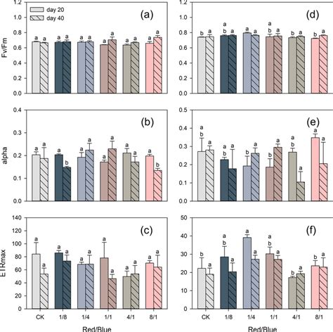 Chlorophyll Fluorescence Parameters Of H Verticillata And V