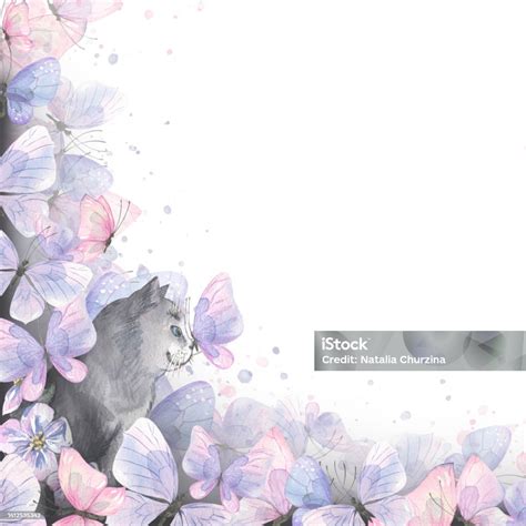 회색 고양이와 분홍색 보라색 및 파란색 나비가있는 코너 프레임 수채화 그림 엽서 초대장 인증서 포스터 광고 포장의 디자인과 장식을 위해 고양이 새끼에 대한 스톡 벡터 아트