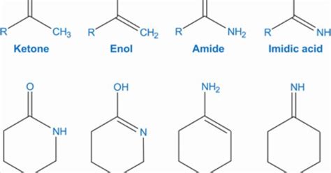 Amine Imine Amide